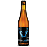 Пивоварня Brasserie Lupulus: сорта пива, адрес пивоварни, где купить ...